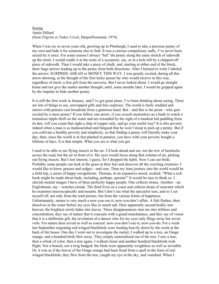Seeing by Annie Dillard: Nature & Perception Essay