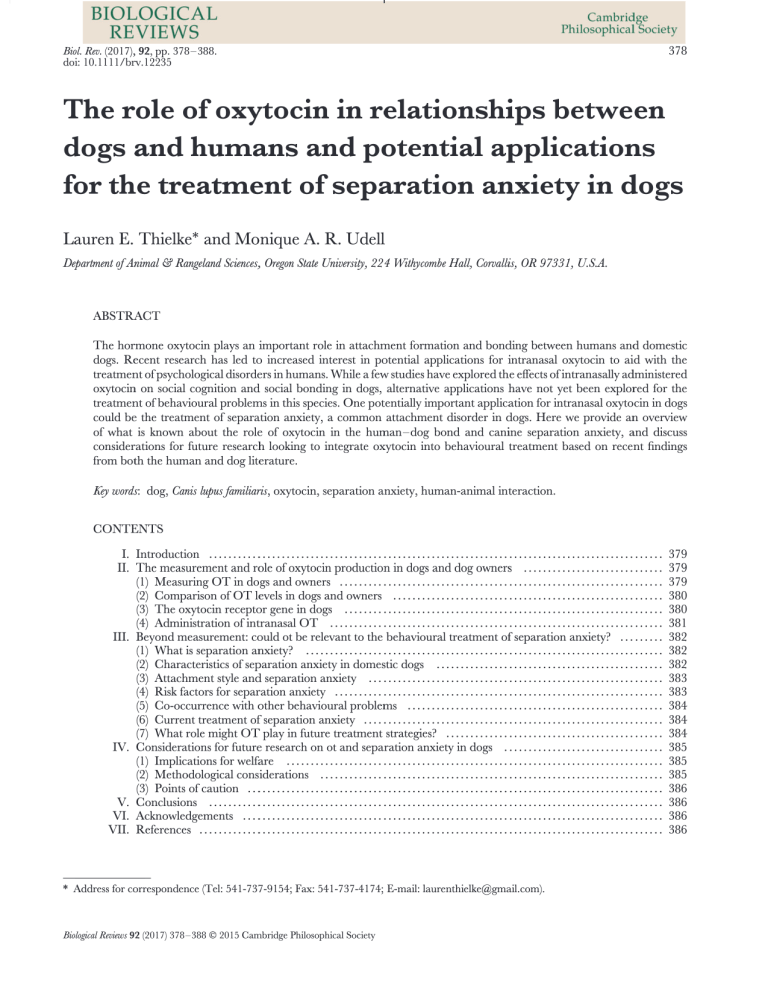 Oxytocin in Dog-Human Relationships & Separation Anxiety Treatment