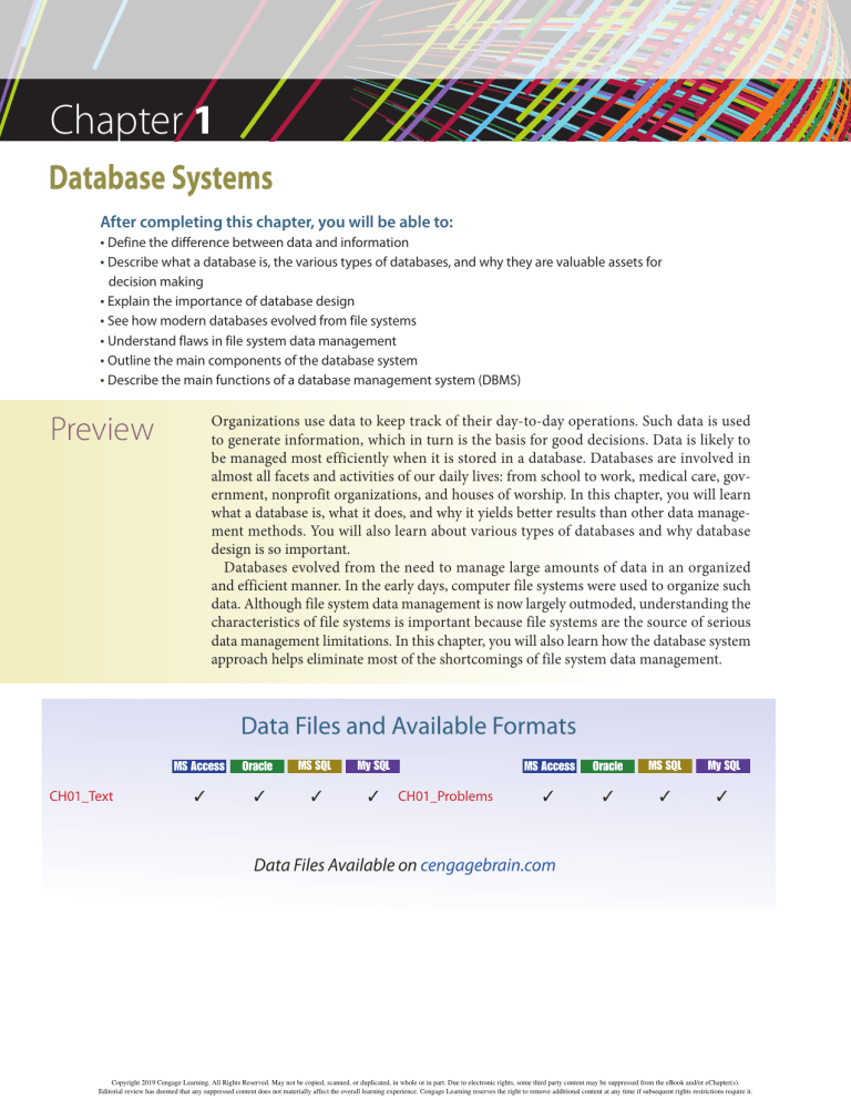 Chapter 1: Database Systems Overview