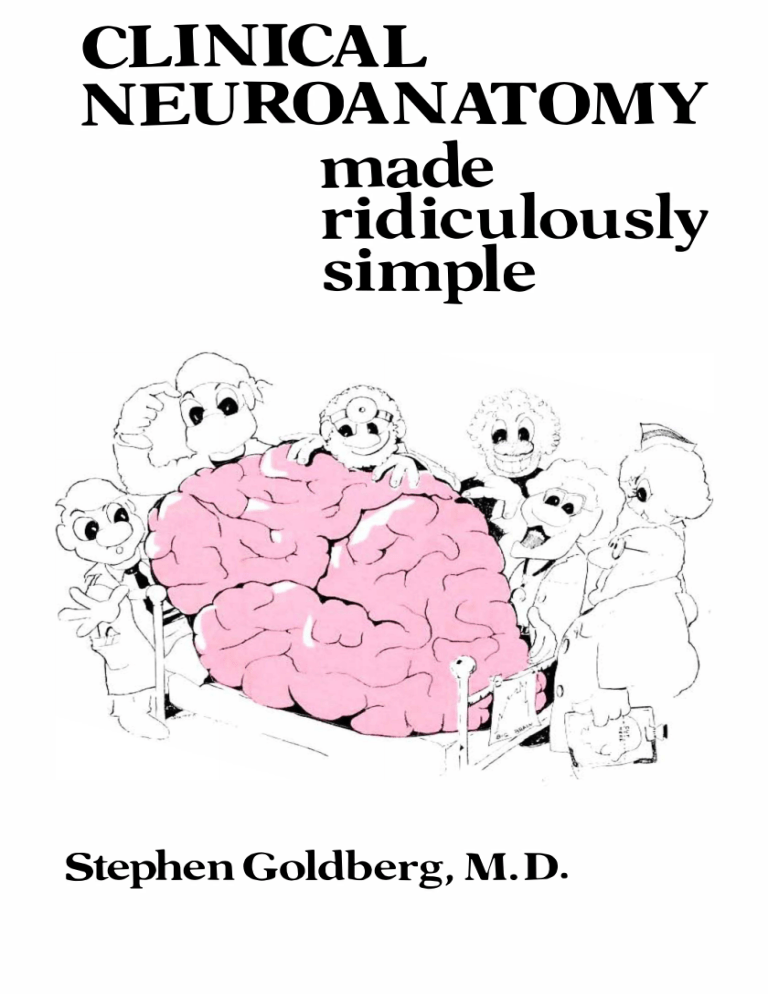 Clinical Neuroanatomy Made Ridiculously Simple Textbook