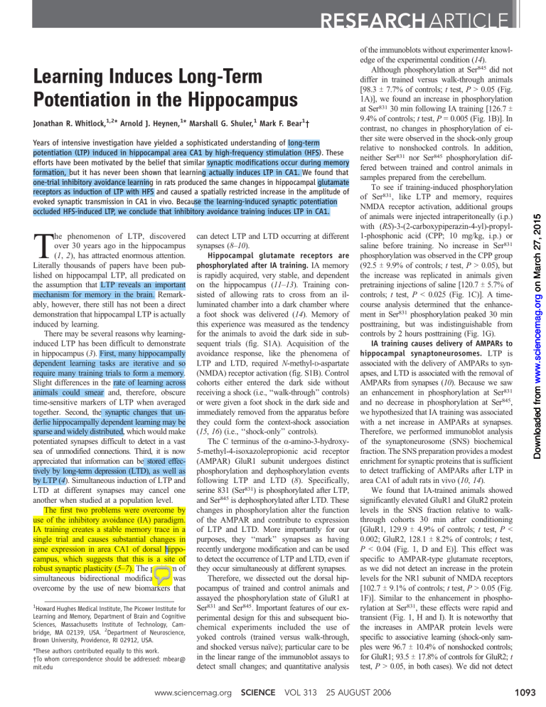Learning Induces Long-Term Potentiation in the Hippocampus