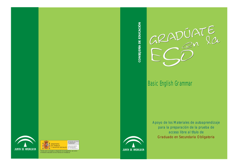 Basic English Grammar: Apoyo para Graduarse en ESO