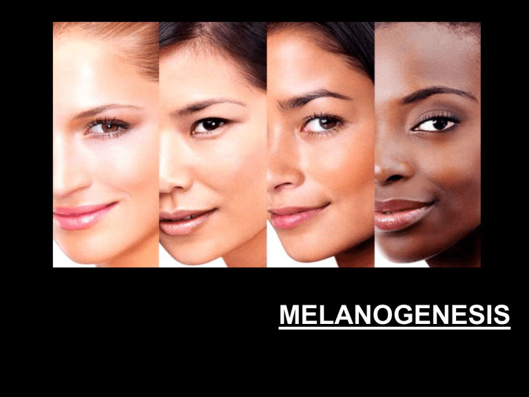 Melanogenesis: Skin Pigmentation Biology