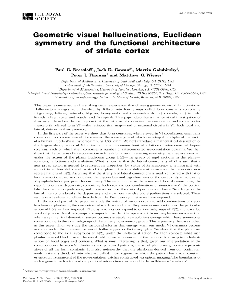 Geometric Visual Hallucinations & Striate Cortex Architecture