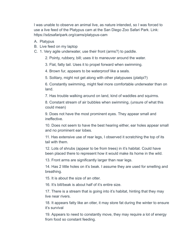 Platypus Observation: 20 Key Findings & Scientific Questions