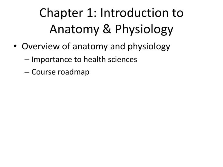 Chapter 1: Introduction to Anatomy & Physiology