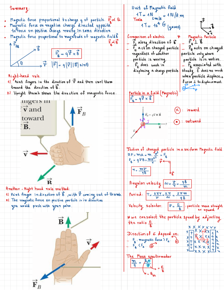 Magnetic Force Study Guide: Physics Summary