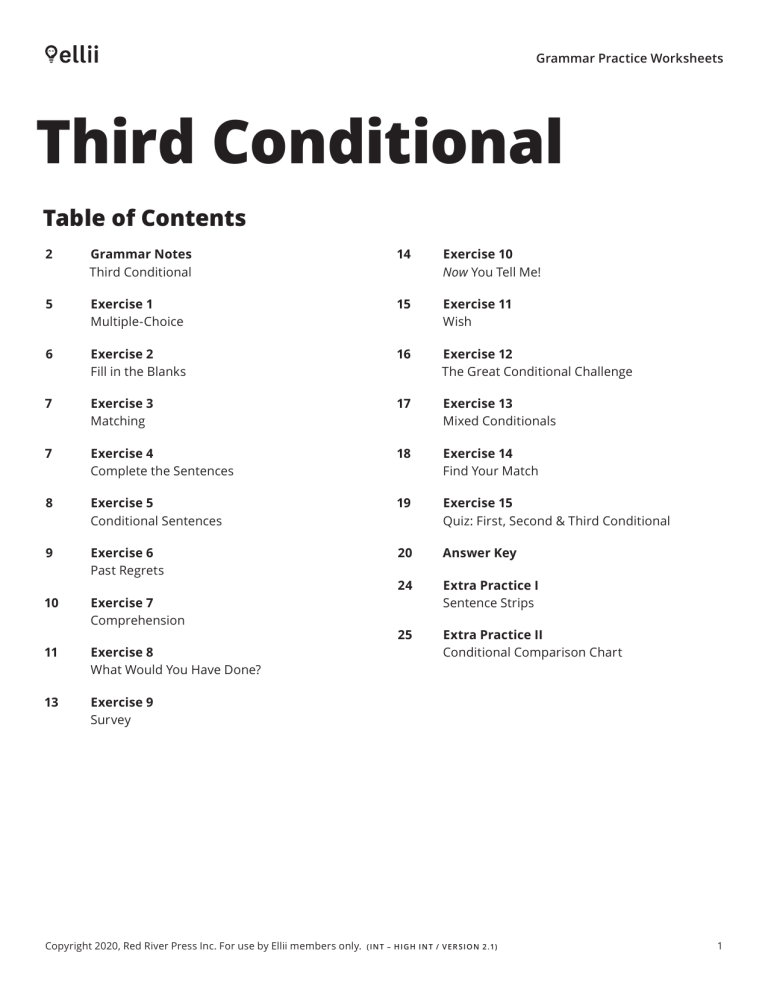 Third Conditional Grammar Practice Worksheets