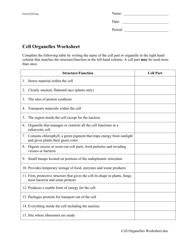 Cell Organelles Worksheet: Biology Practice