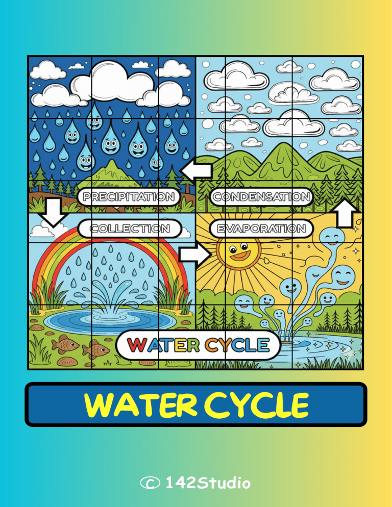 Water Cycle Collaborative Poster & Worksheets