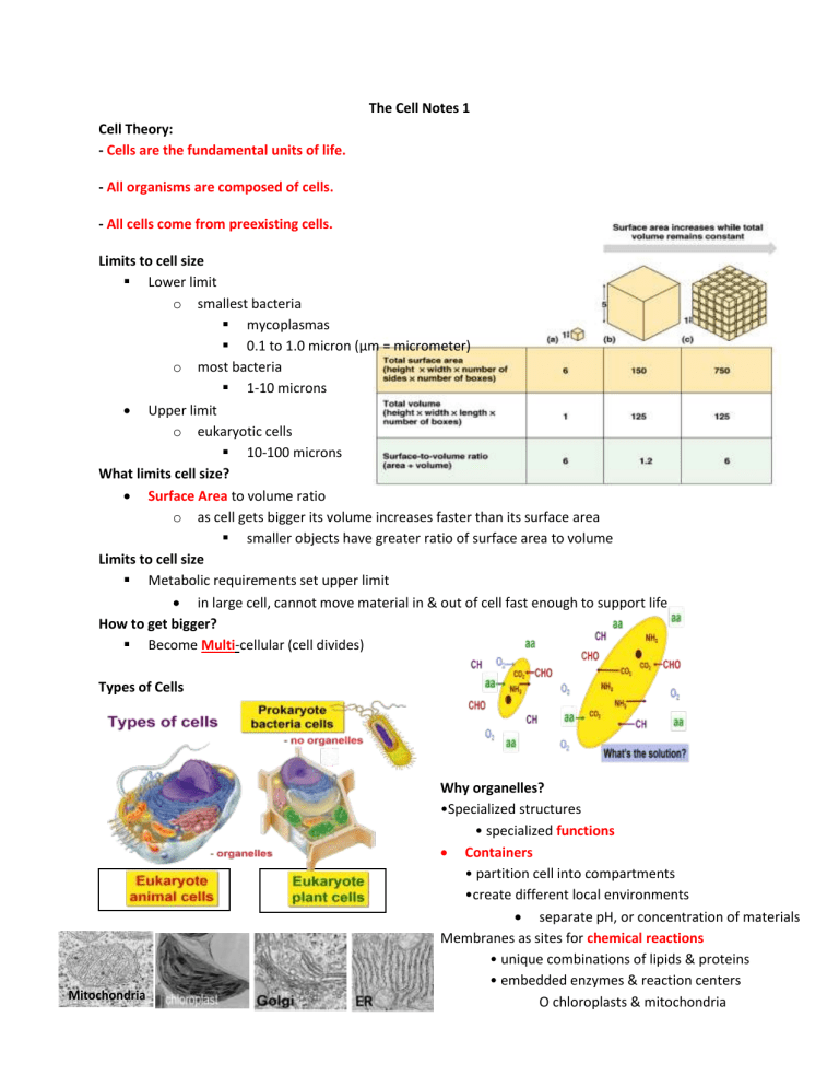Cell Notes 1: Cell Theory, Size Limits, Organelles