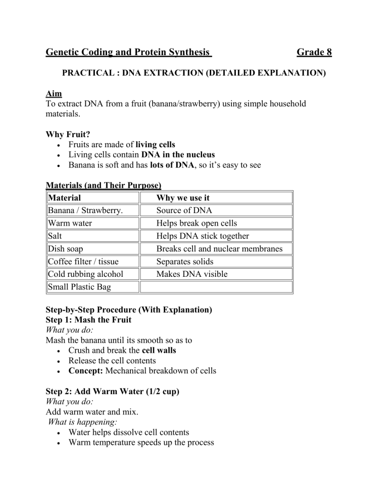 DNA Extraction from Fruit: Grade 8 Lab Guide