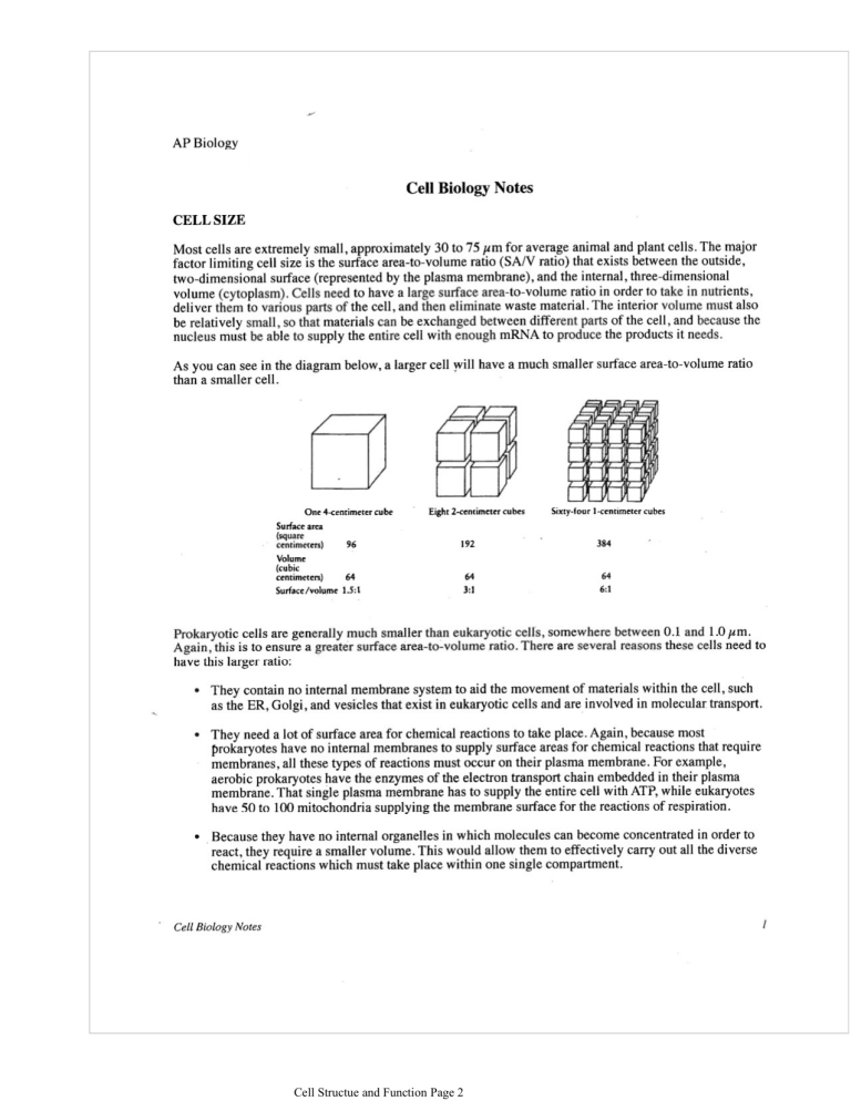 AP Biology Cell Biology Notes: Cell Size & Surface Area