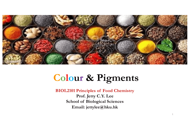 Colour & Pigments in Food Chemistry - BIOL2101