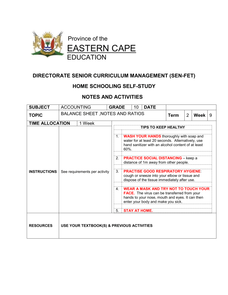 Grade 10 Accounting Balance Sheet Notes & Ratios Self-Study