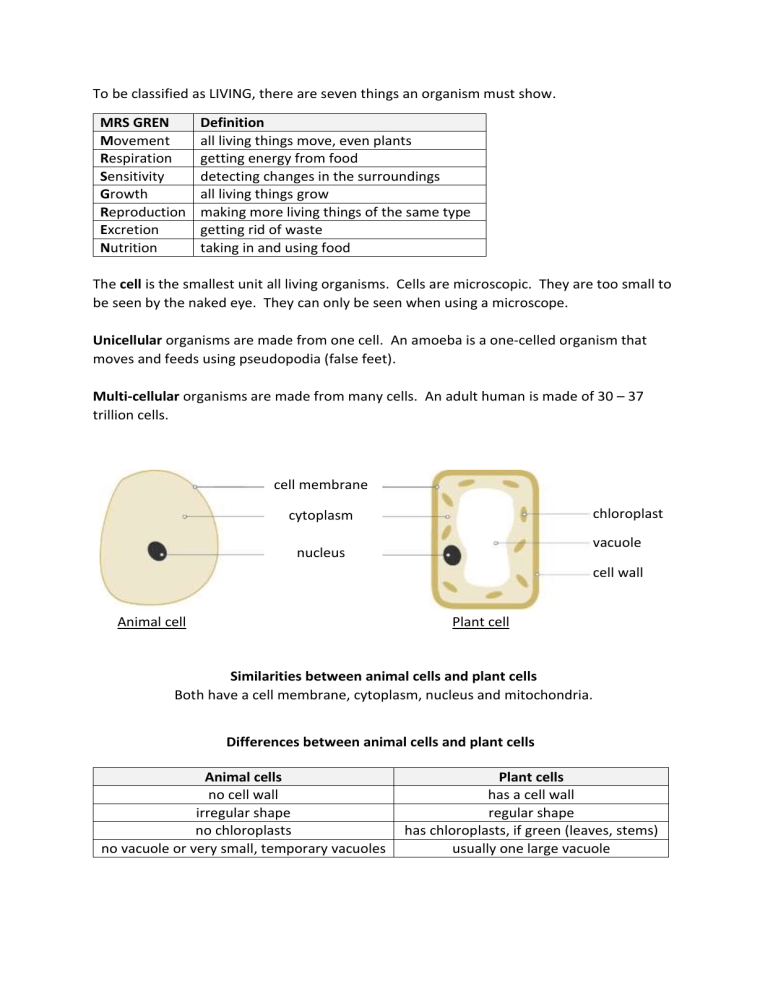 Characteristics of Living Things & Cell Structure