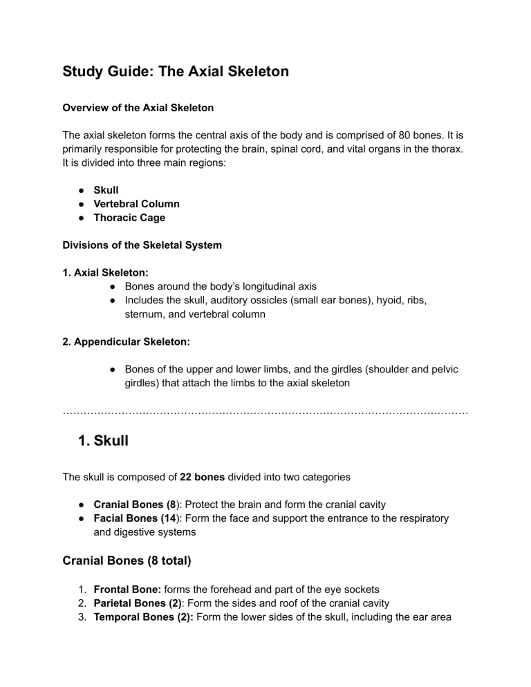 Study Guide: The Axial Skeleton