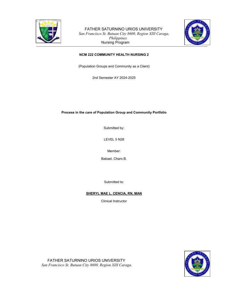 Community Health Nursing Portfolio: Barangay Tangaro Assessment