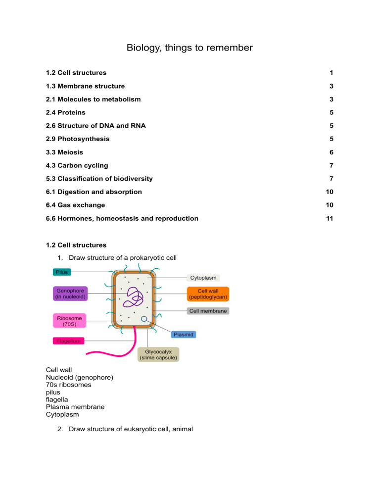 Biology Study Guide: Key Concepts & Diagrams
