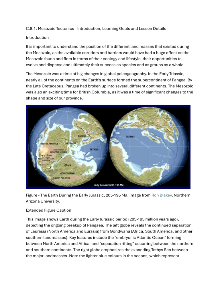 Mesozoic Tectonics: Pangaea Breakup & Geological Changes