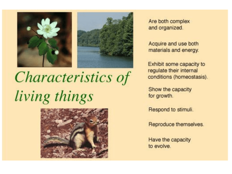 Characteristics of Living Things: Cell Biology Basics