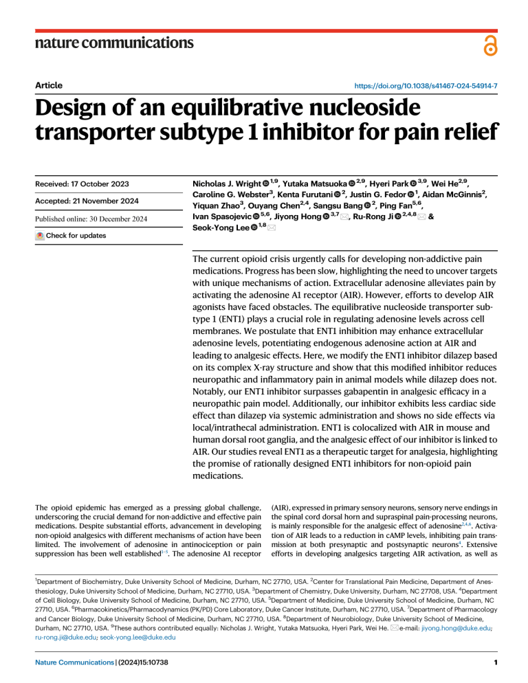 Design of ENT1 Inhibitor for Pain Relief