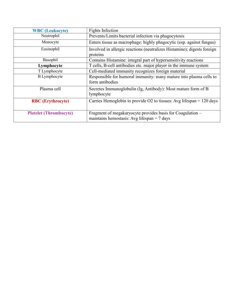 Blood Cells and Their Functions: WBC, RBC, Platelet Roles