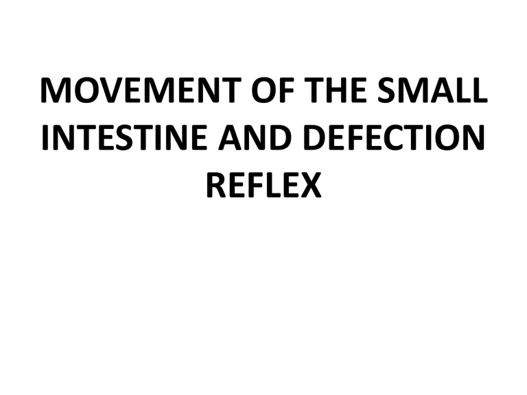 Small Intestine Movements & Defecation Reflex