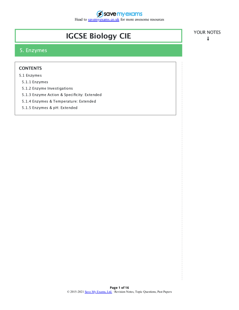 IGCSE Biology Enzymes Revision Notes