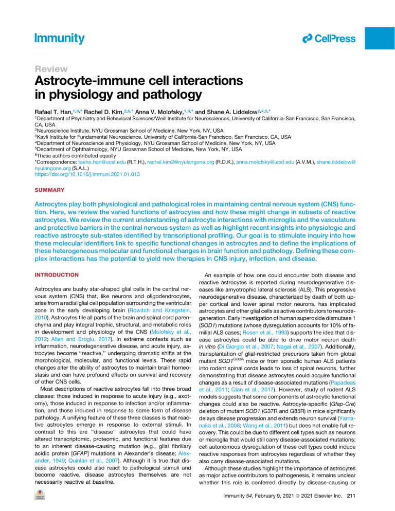 Astrocyte-Immune Cell Interactions in CNS Physiology and Pathology