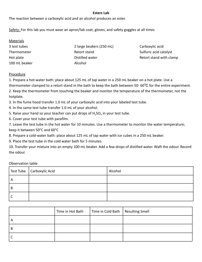Esters Lab: Chemistry Experiment Guide