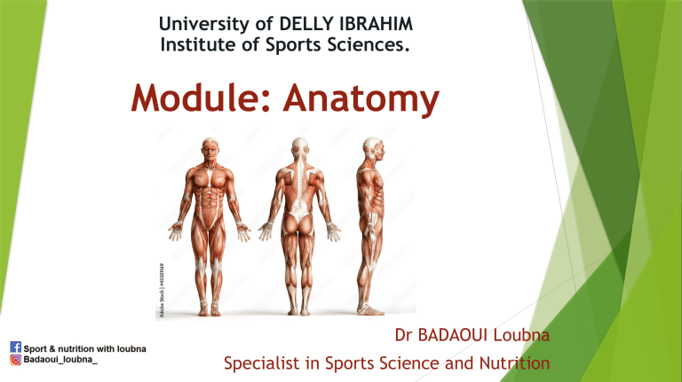 Anatomy lecture 3