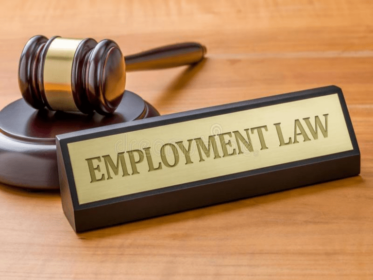 What Is Employment Law? - Guide to Employment Law Basics