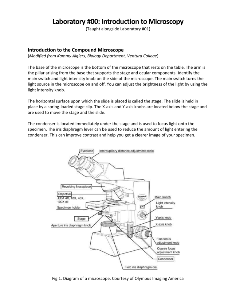Introduction to Microscopy Lab Manual