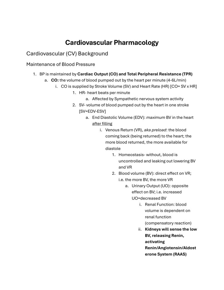 Cardiovascular Pharmacology: BP Maintenance & Drug Treatments