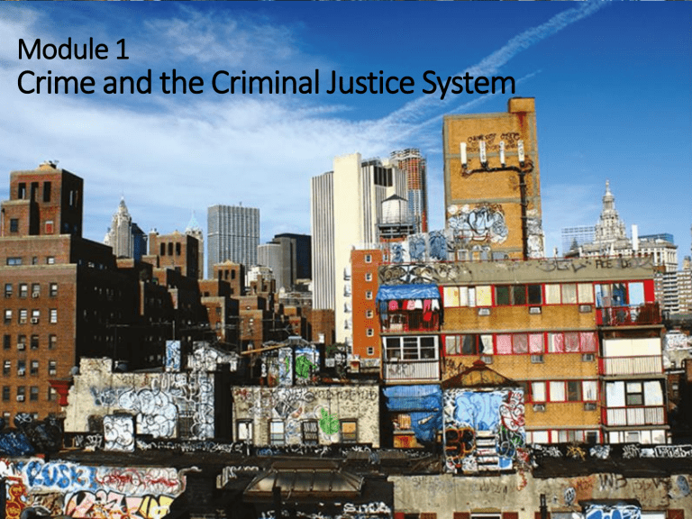 Module 1: Crime and the Criminal Justice System