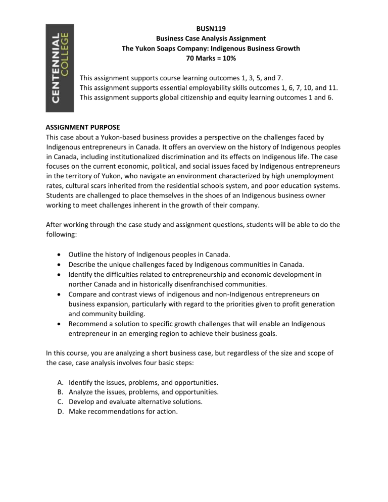 Yukon Soaps Company: Indigenous Business Growth Case Analysis