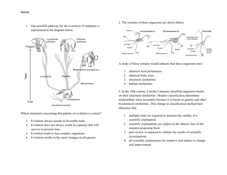 Biology Evolution Test Questions