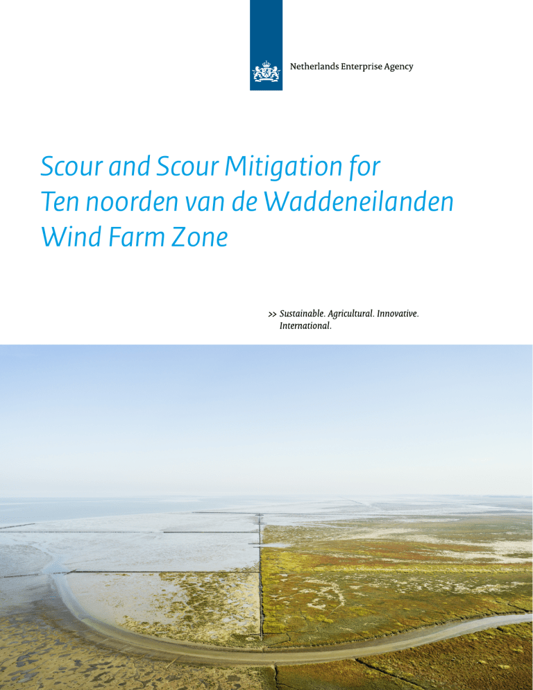 Scour Mitigation for Ten noorden van de Waddeneilanden Wind Farm Zone