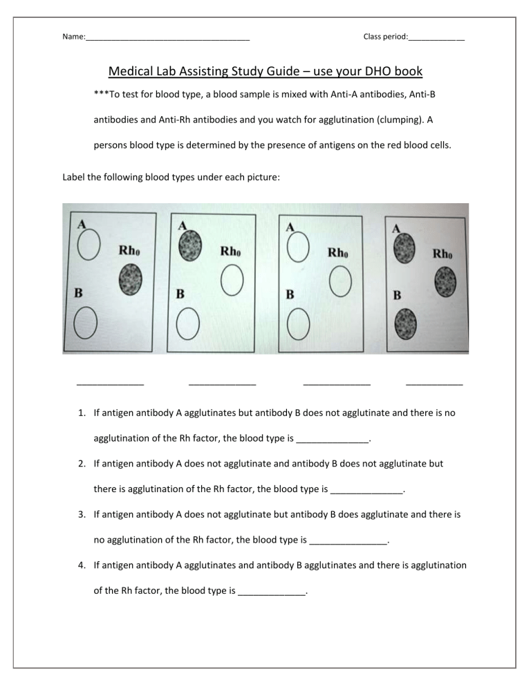 Medical Lab Assisting Study Guide: Blood Typing & Lab Procedures
